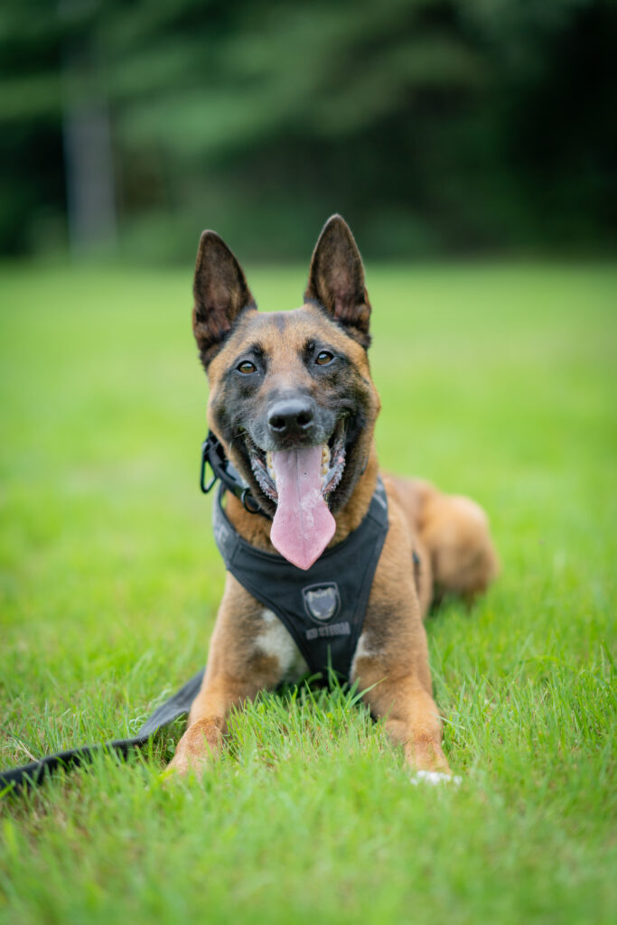 K-9 Unit - Hudson Police Department